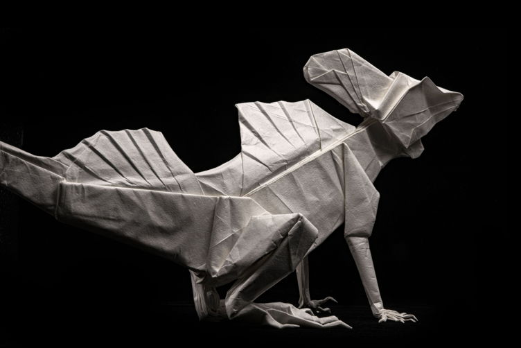 The 29th Origami Tanteidan Convention – Japan Origami Academic Society
